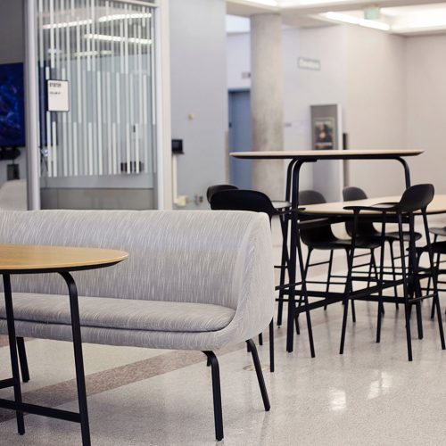 Iowa State University - Parks Library | Storey Kenworthy